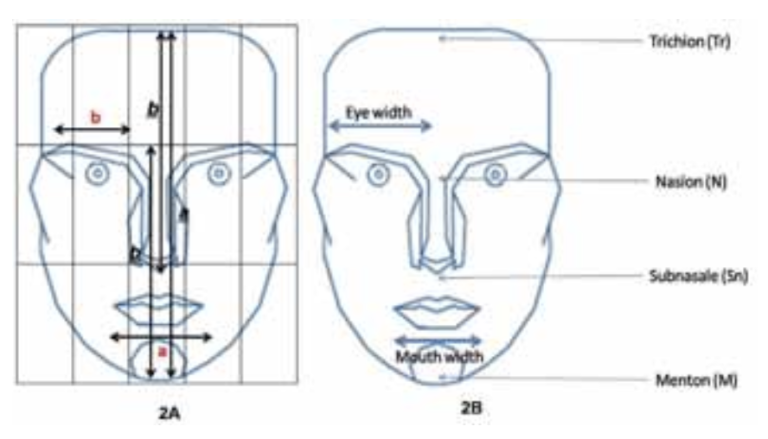 What Makes a Face Attractive (As Defined by Science) - Medical Channel Asia