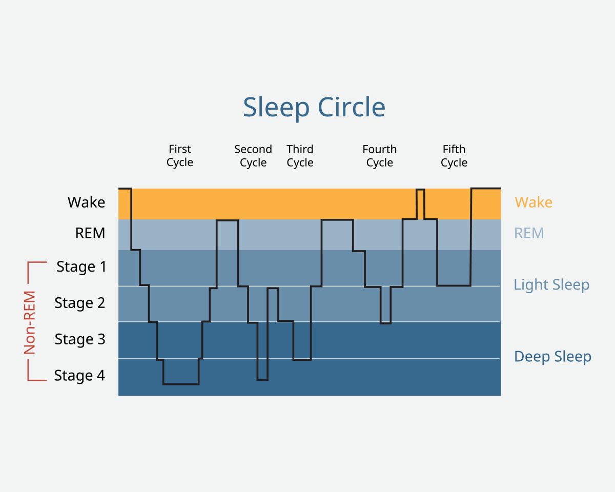 Deep Sleep: What It Is, Why It Matters & How to Get More of It ...